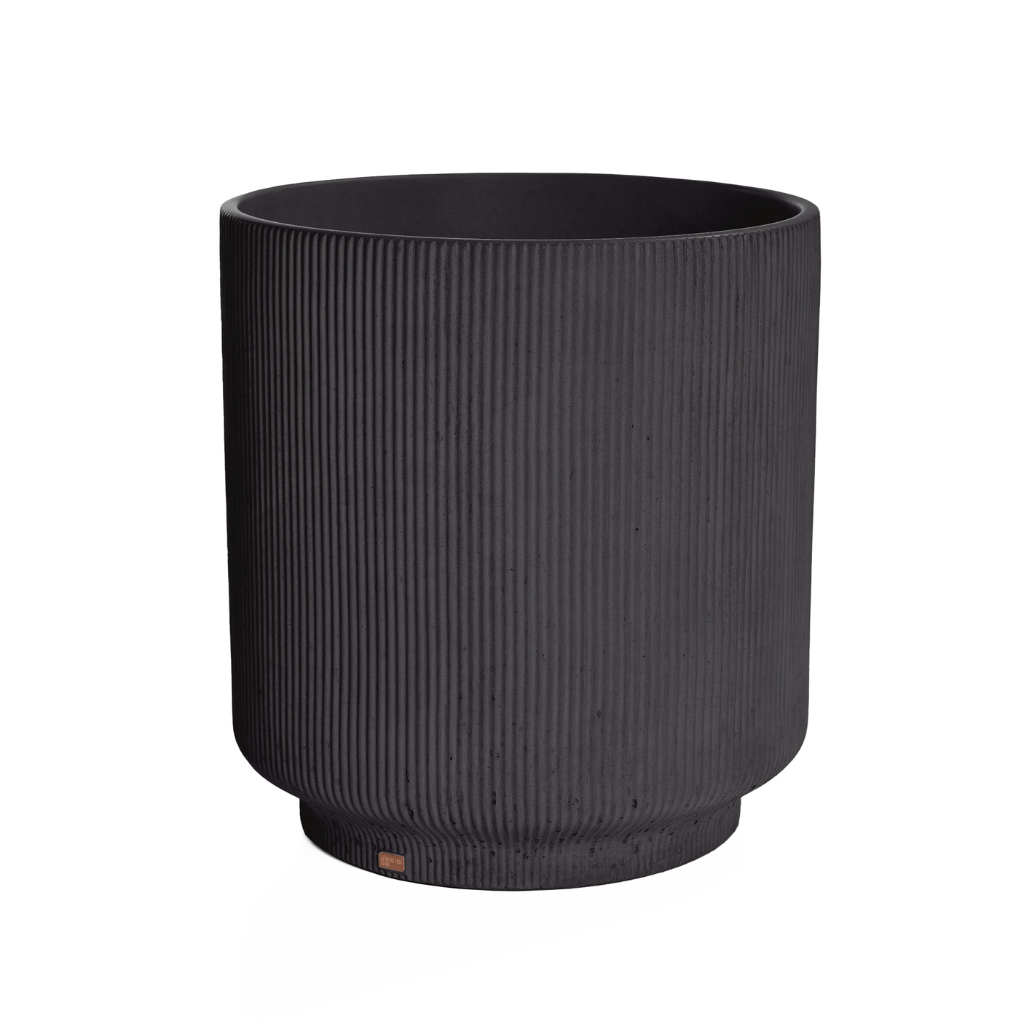 LOTUS 05 NEGRO – mosagrescr